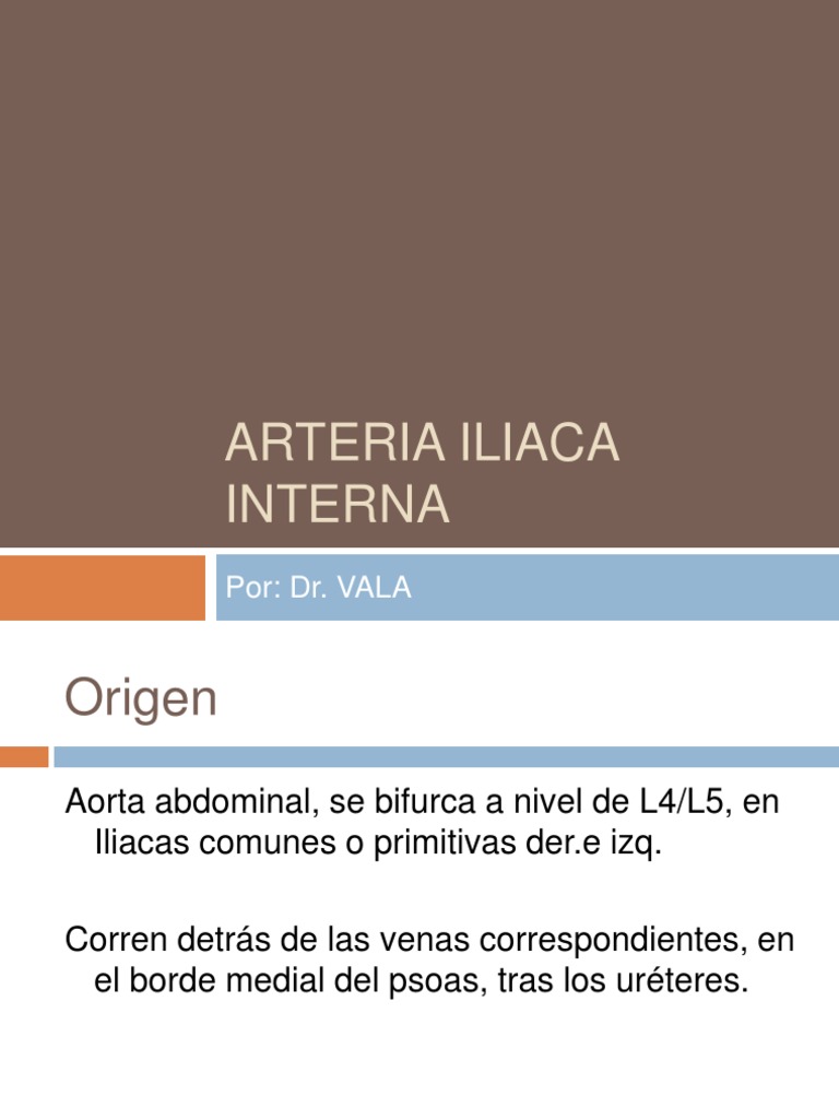 Arteria Iliaca Interna | PDF