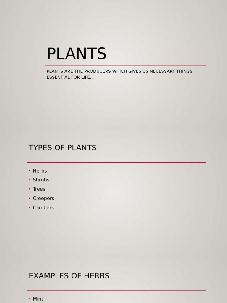 Plants Ppt | PDF