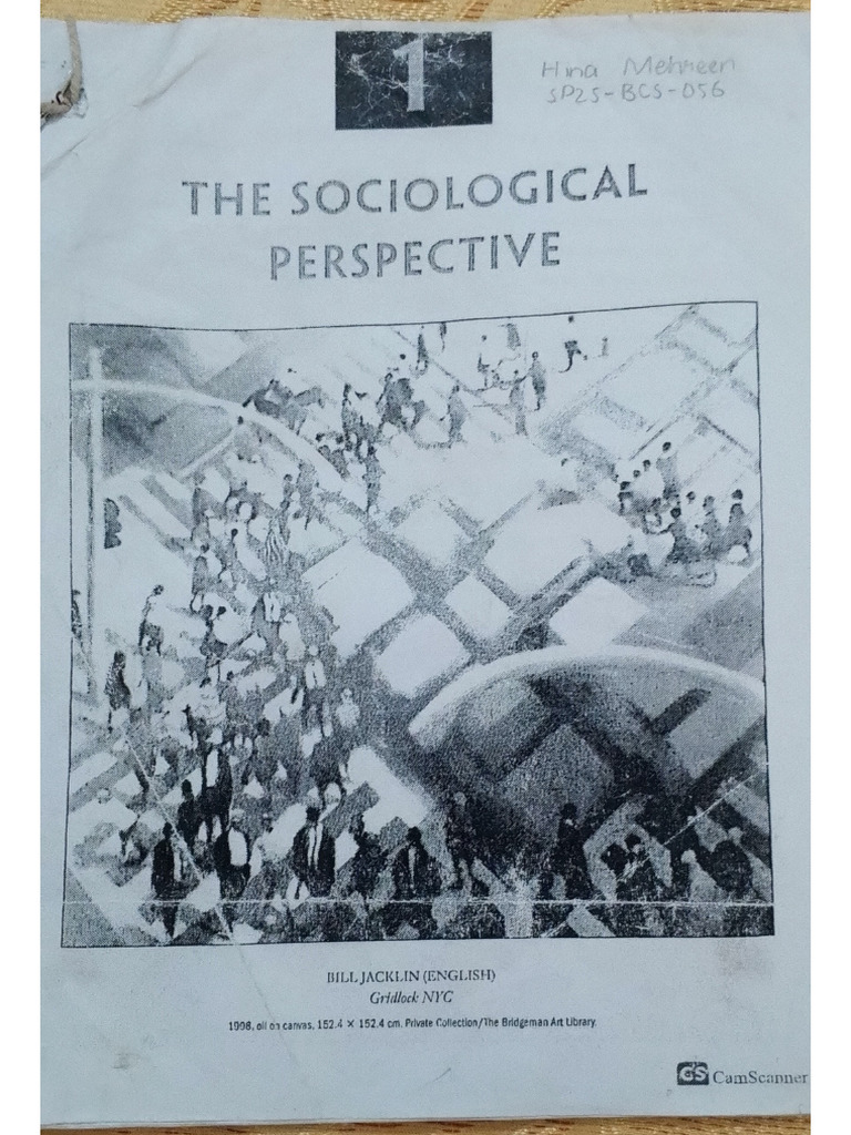 Introduction To Sociology | PDF