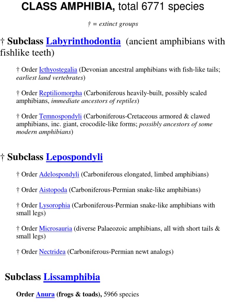 Labyrinthodontia: Subclass (Ancient Amphibians With Fishlike Teeth ...