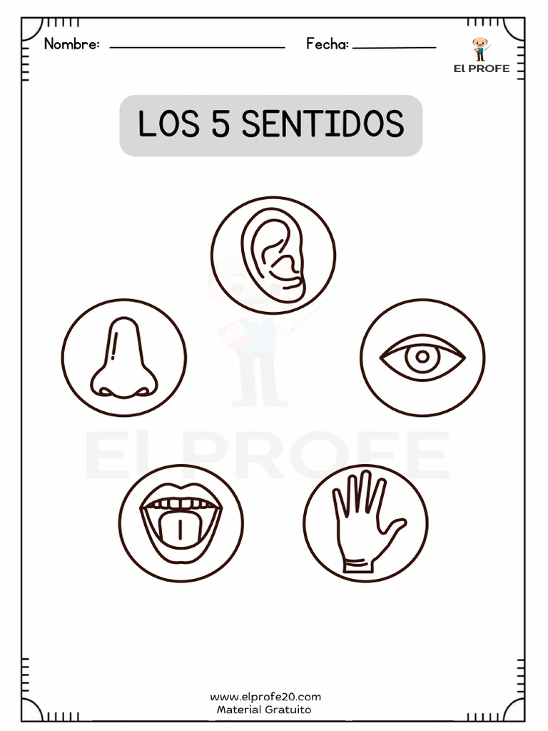 Fichas Los 5 Sentidos Elprofe20 | PDF