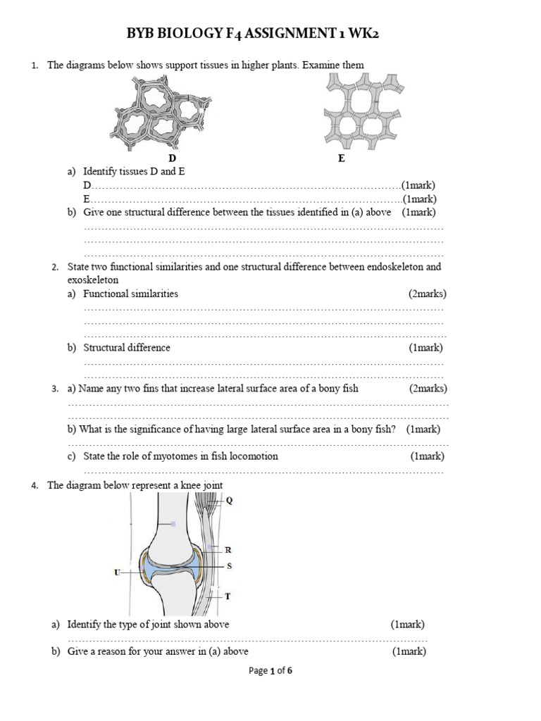 Biology F4 Assignment on Plant and Animal Tissues | PDF