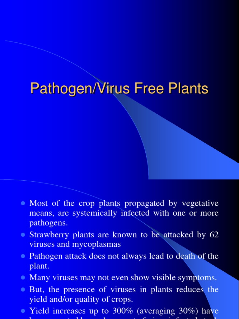 Virus Free Plants | PDF | Virus | Chemotherapy