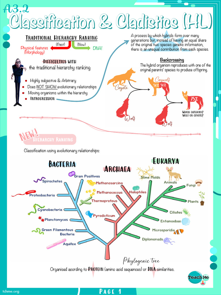 Classification and Cladistics | PDF | Phylogenetics | Archaea