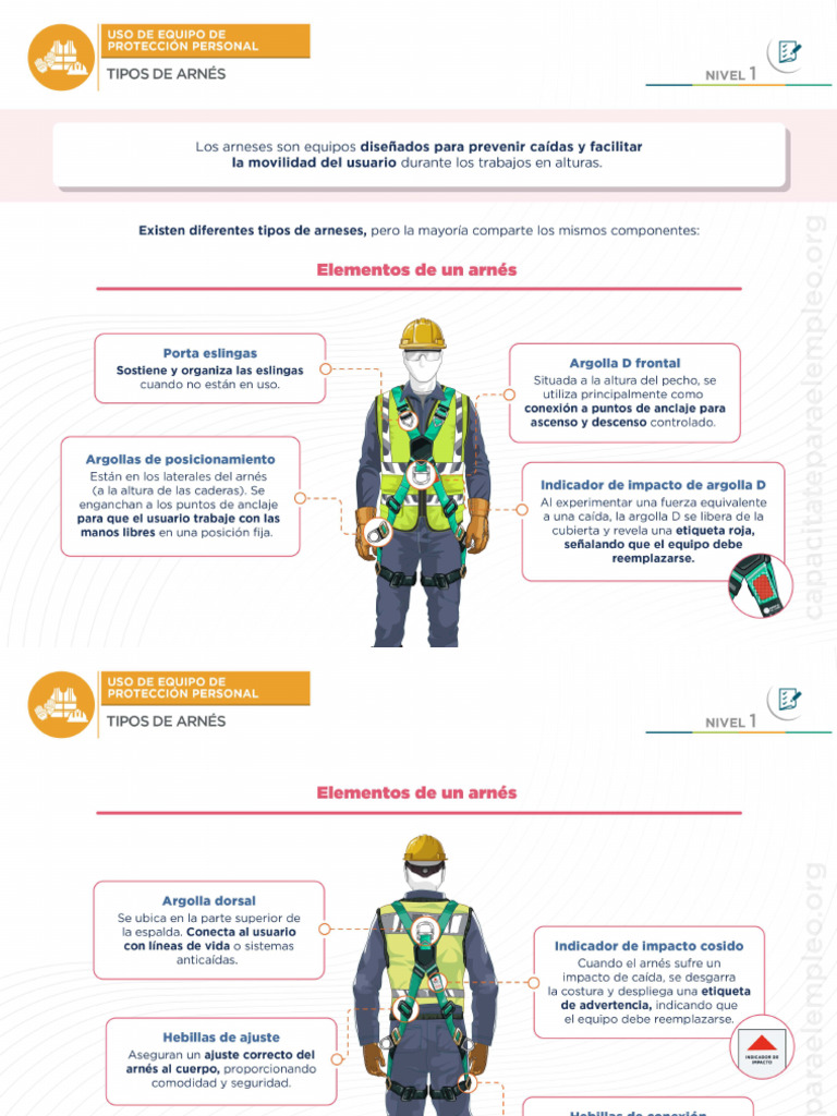 Tipos de arnés | PDF
