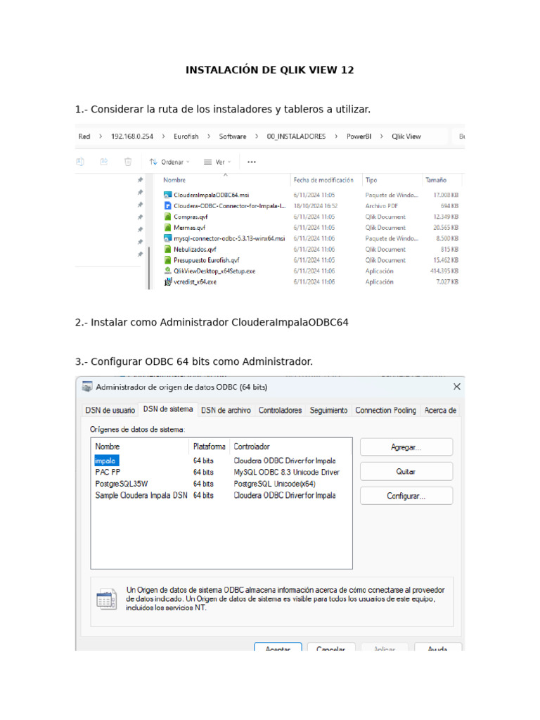 Instalación de Qlik View 12 | PDF