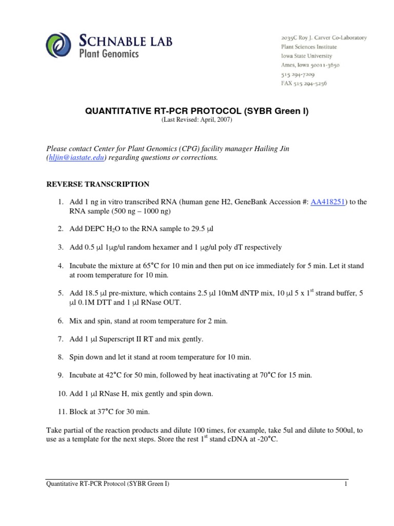 Quantitative RT-PCR Protocol (Sybr Green I) | PDF | Real Time Polymerase Chain Reaction ...
