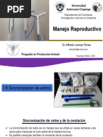 Protocolo de Sincronizacion. Ovsynch | PDF | Vacas | Reproducción humana