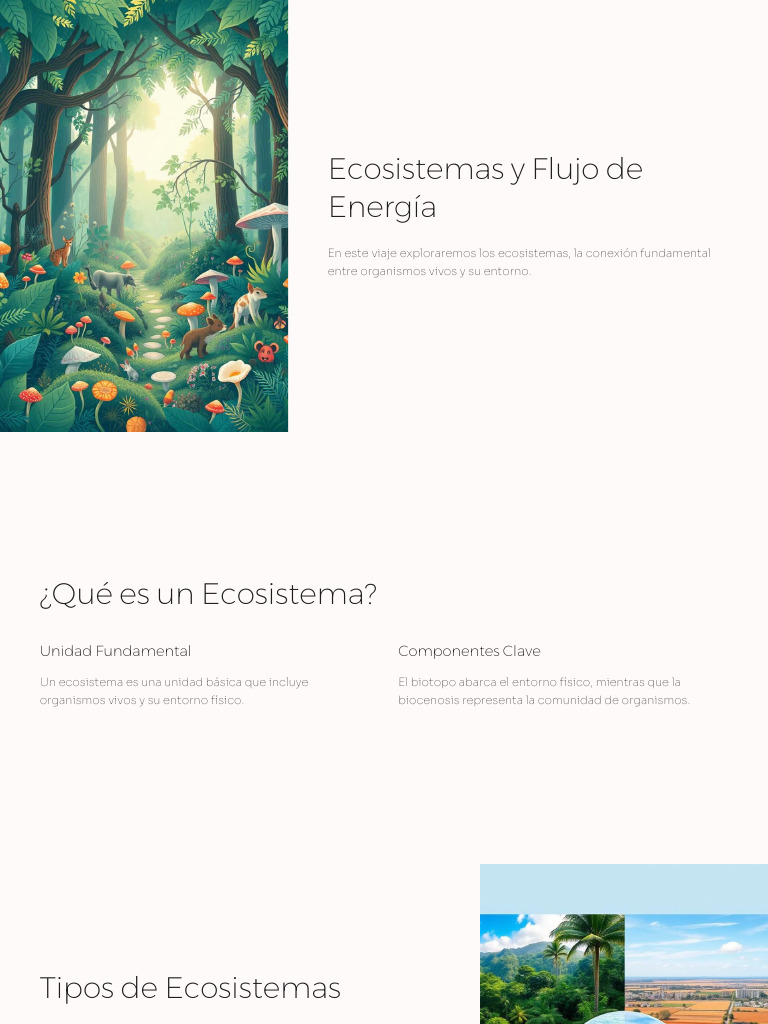 Ecosistemas y Flujo de Energia | PDF | Ecosistema | Agua