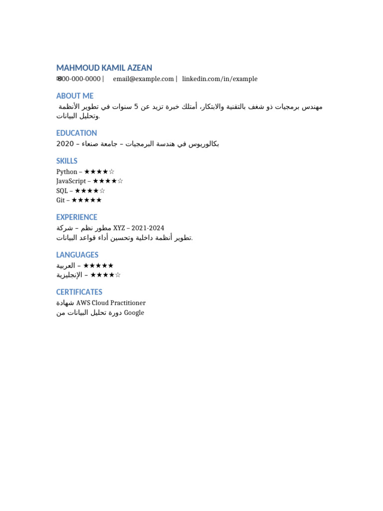 CV Template Mahmoud Style | PDF