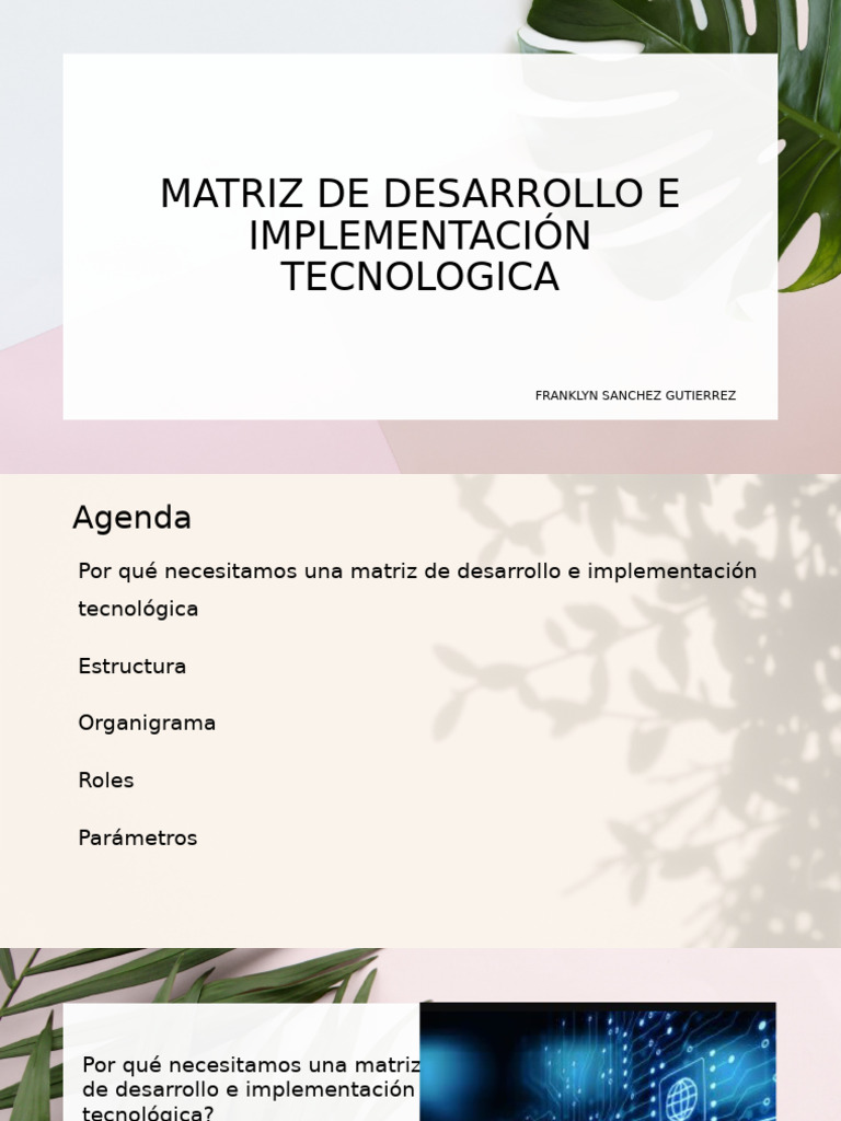 Matriz de Desarrollo e Implementación Tecnologica | PDF | Gestión de ...