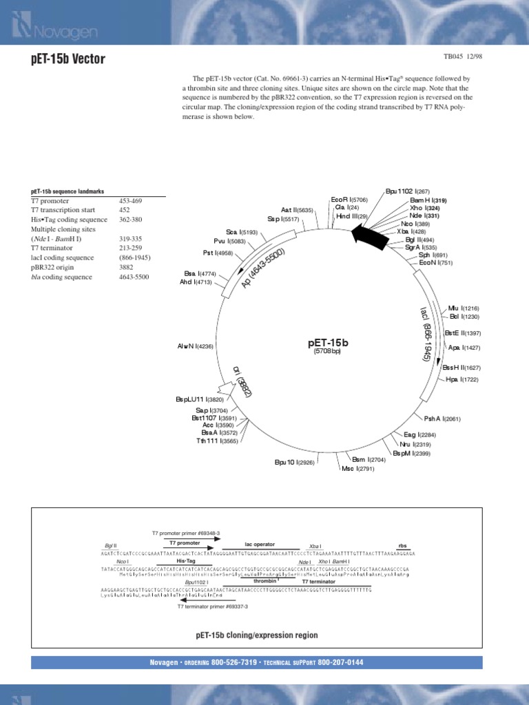pET-15b Vector Overview and Features | PDF | Cellular Processes ...