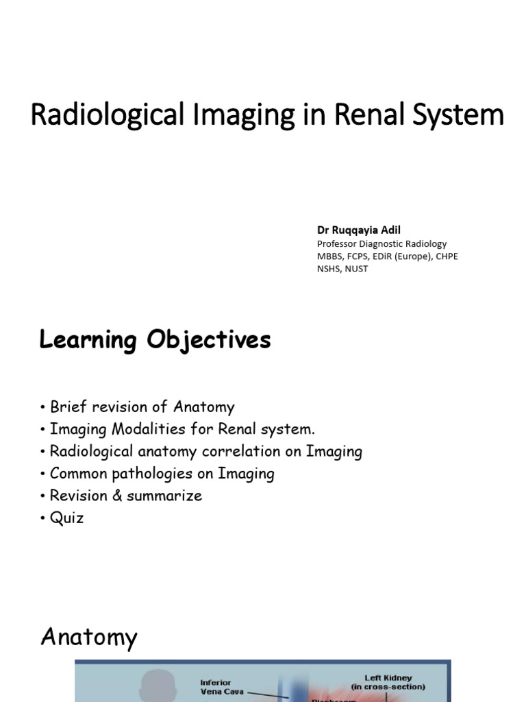 Radiological Imaging in Renal System | PDF