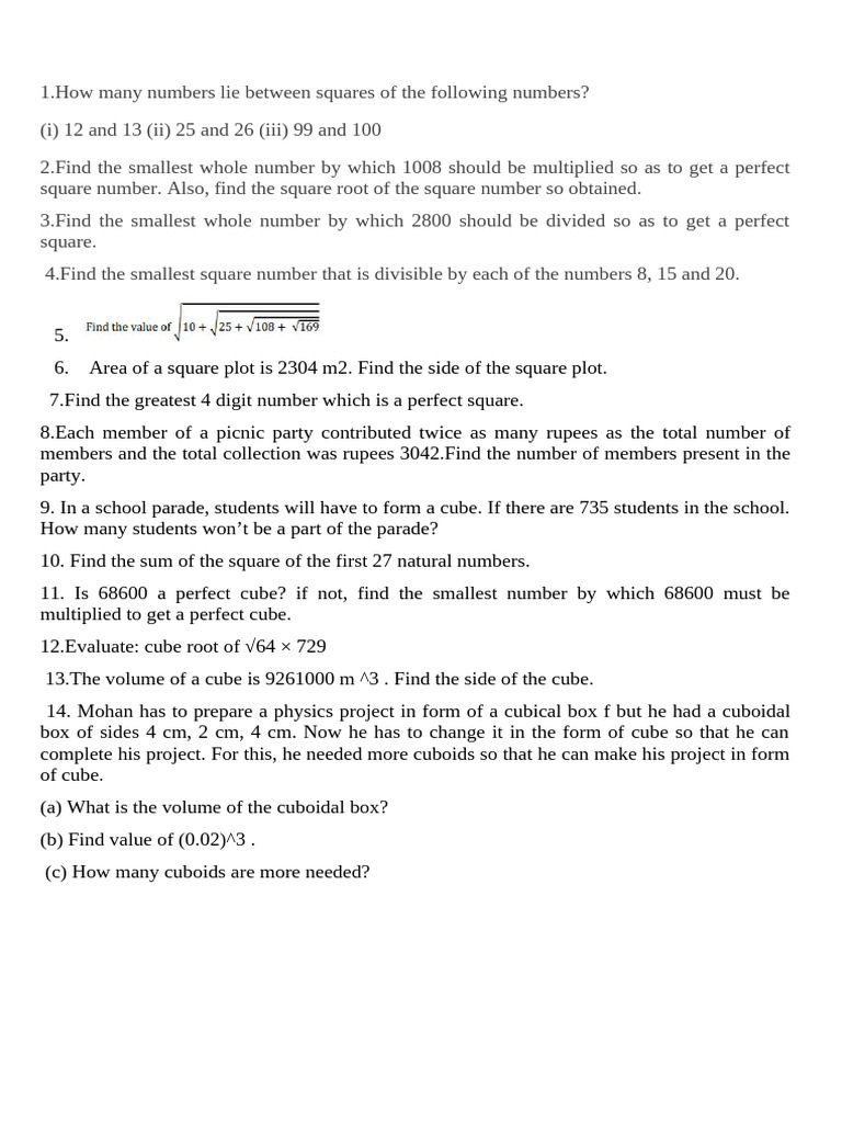Class 8 Chapter 1 Worksheet | PDF
