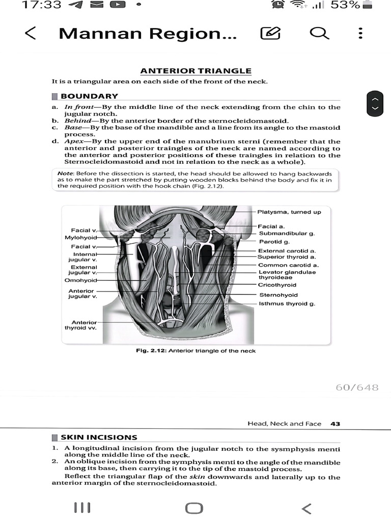 All Dissections (1) 2 | PDF