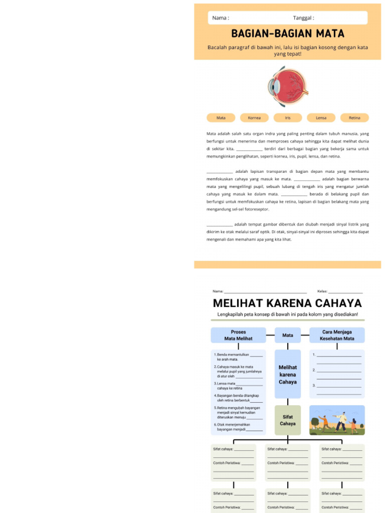 IPAS Kelas 5 Mata Dan Cahaya | PDF