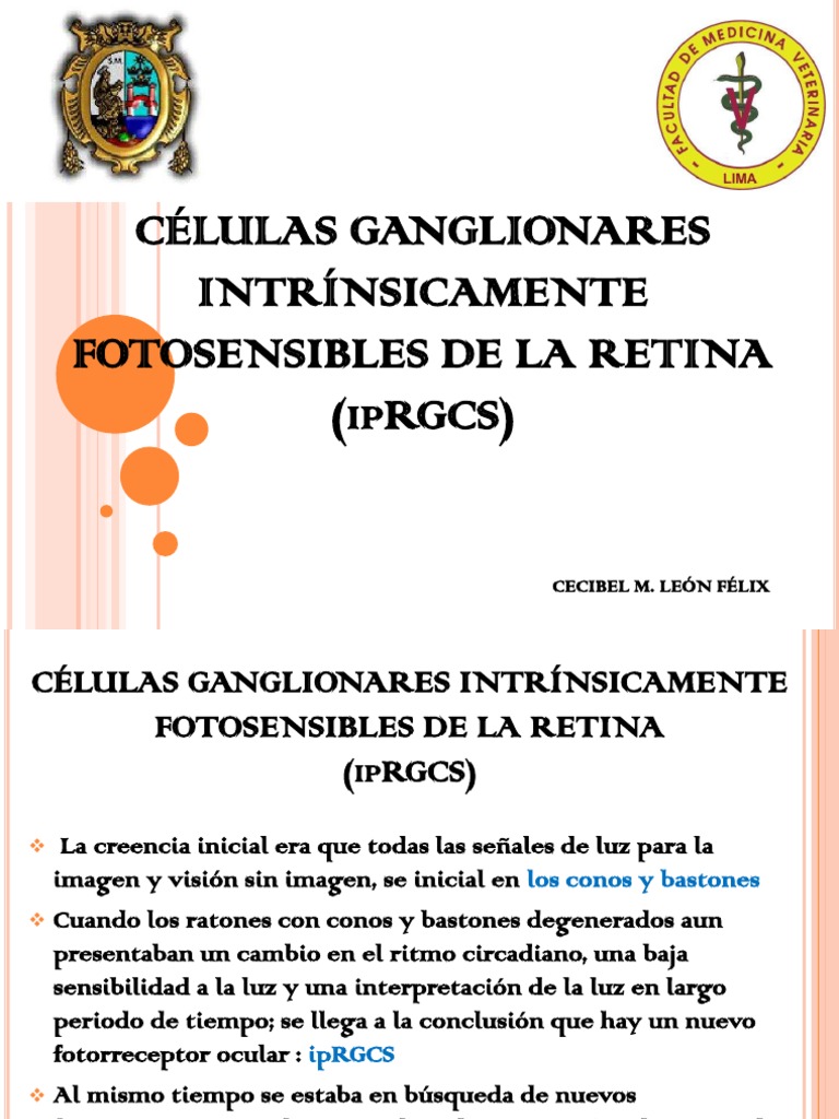 CÉLULAS GANGLIONARES INTRINSICAMENTE FOTOSENSIBLES DE LA RETINA | PDF | Visión | Anatomia animal