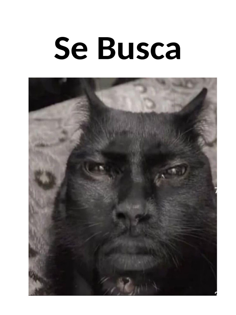 Se Busca | PDF