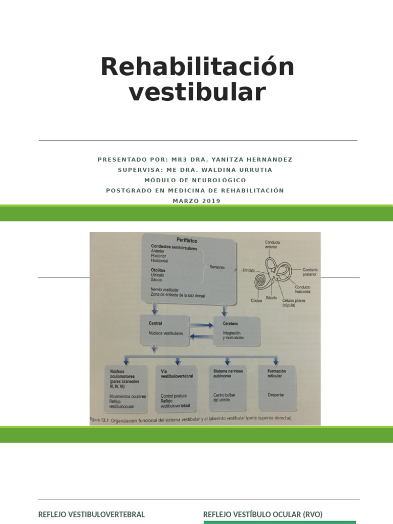 Rehabilitación Vestibular: Estrategias y Ejercicios | PDF | Sistema ...