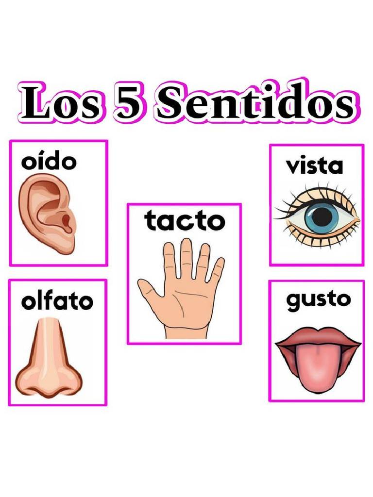 Objetos de La Clase Flashcards PDF | PDF