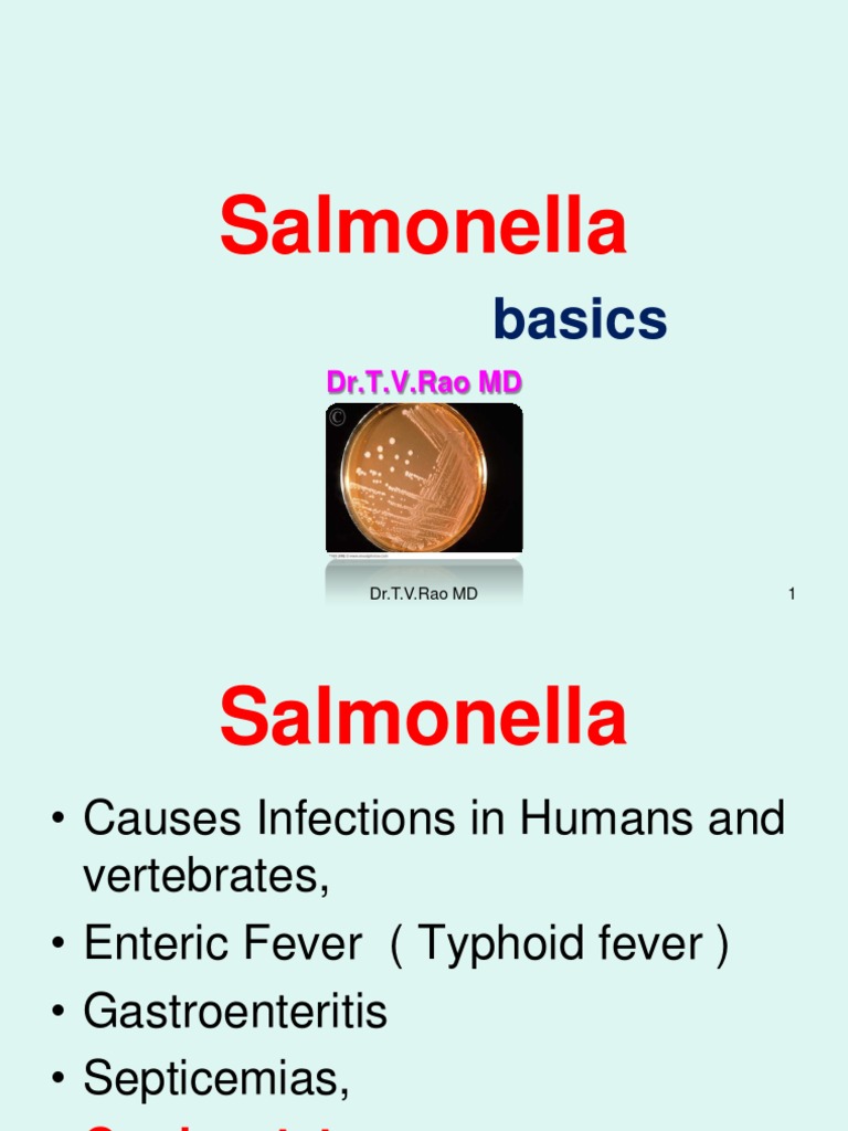 Salmonella Basics | PDF | Salmonella | Health Sciences