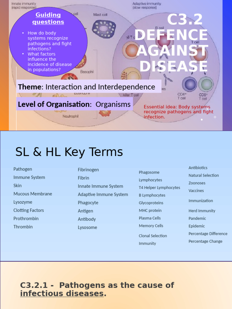 C3.2 Defence Against Disease | PDF | Immune System | B Cell