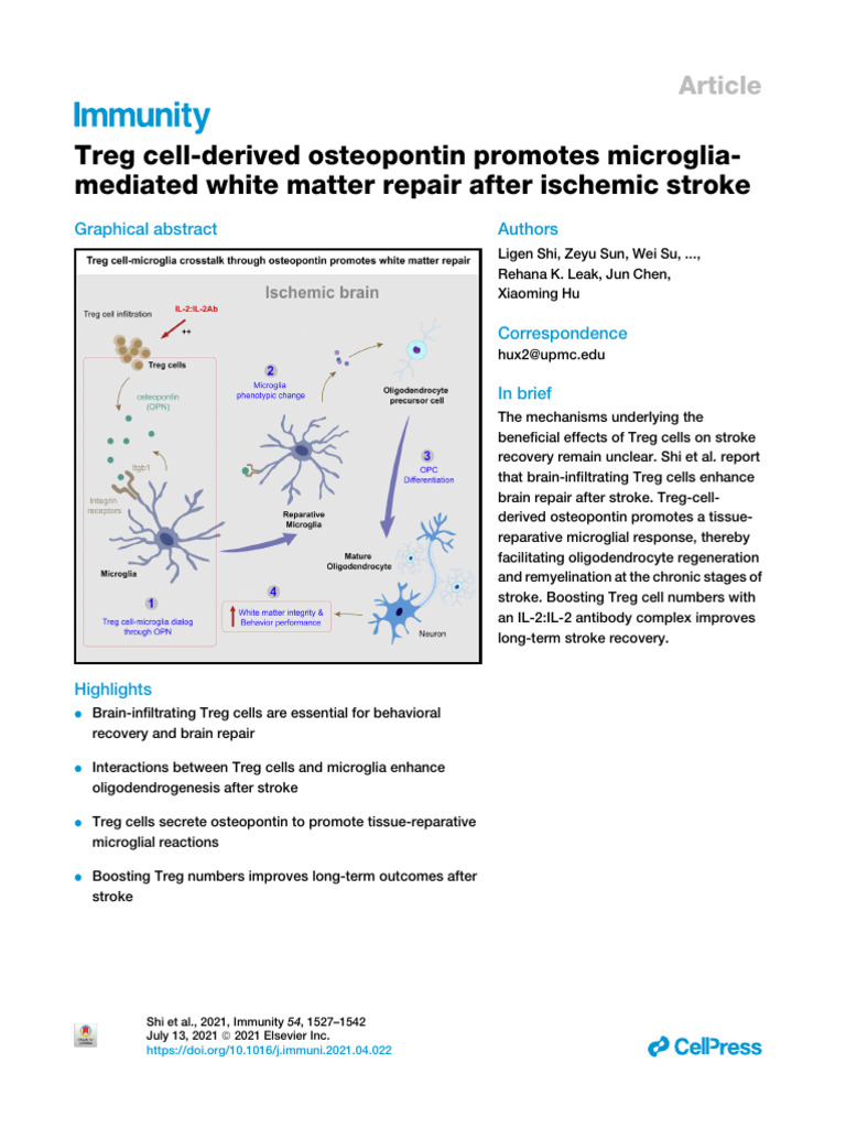 Treg Cell-Derived Osteopontin Promotes Microglia-Mediated White Matter ...