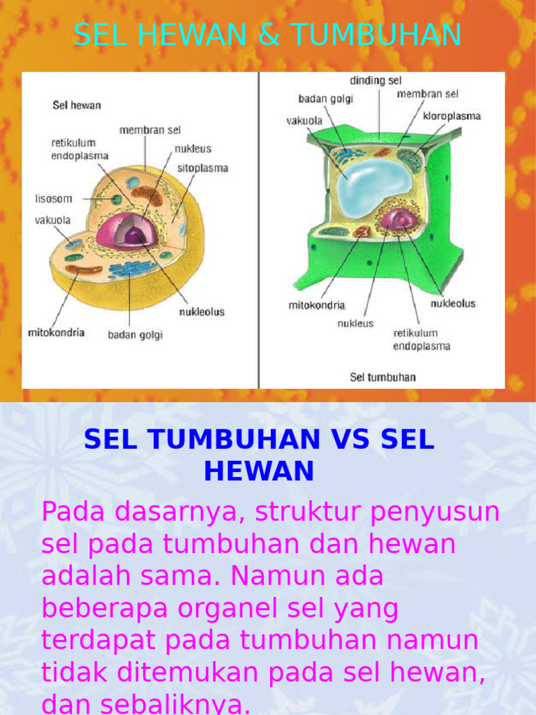 Organel Sel Tumbuhan Dan Hewan | PDF