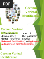 Coconut Tree Growth Stages Explained | PDF | Coconut | Trees