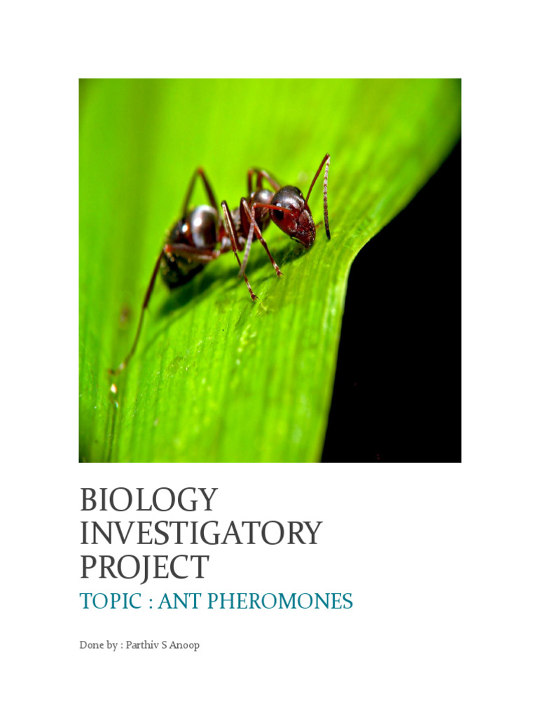 Ant Pheromones Parthiv Bio | PDF | Pheromone | Ant