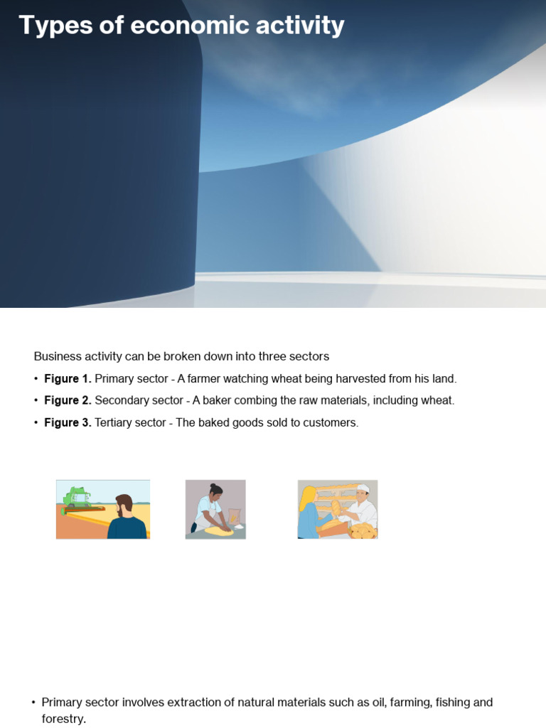 Economic Sectors: Public vs Private | PDF | Monopoly | Goods