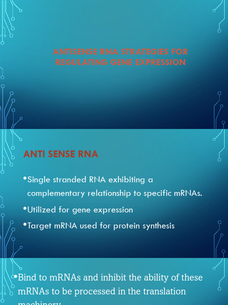 Antisense RNA, MiRNA, SiRNA | PDF | Gene Silencing | Sense (Molecular ...