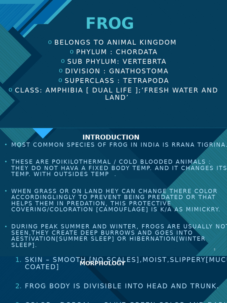 Frog Anatomy and Physiology Overview | PDF | Endocrine System | Small ...