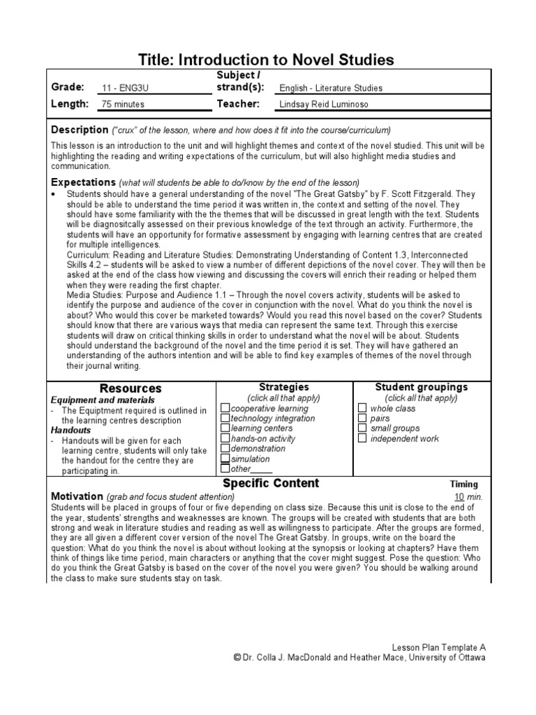 Differentiated Lesson | PDF | The Great Gatsby | Educational Assessment