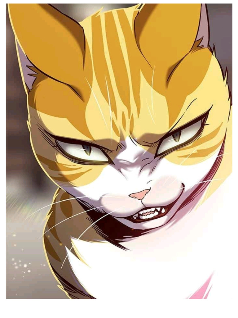 PDFGallery 20250826 105357 | PDF