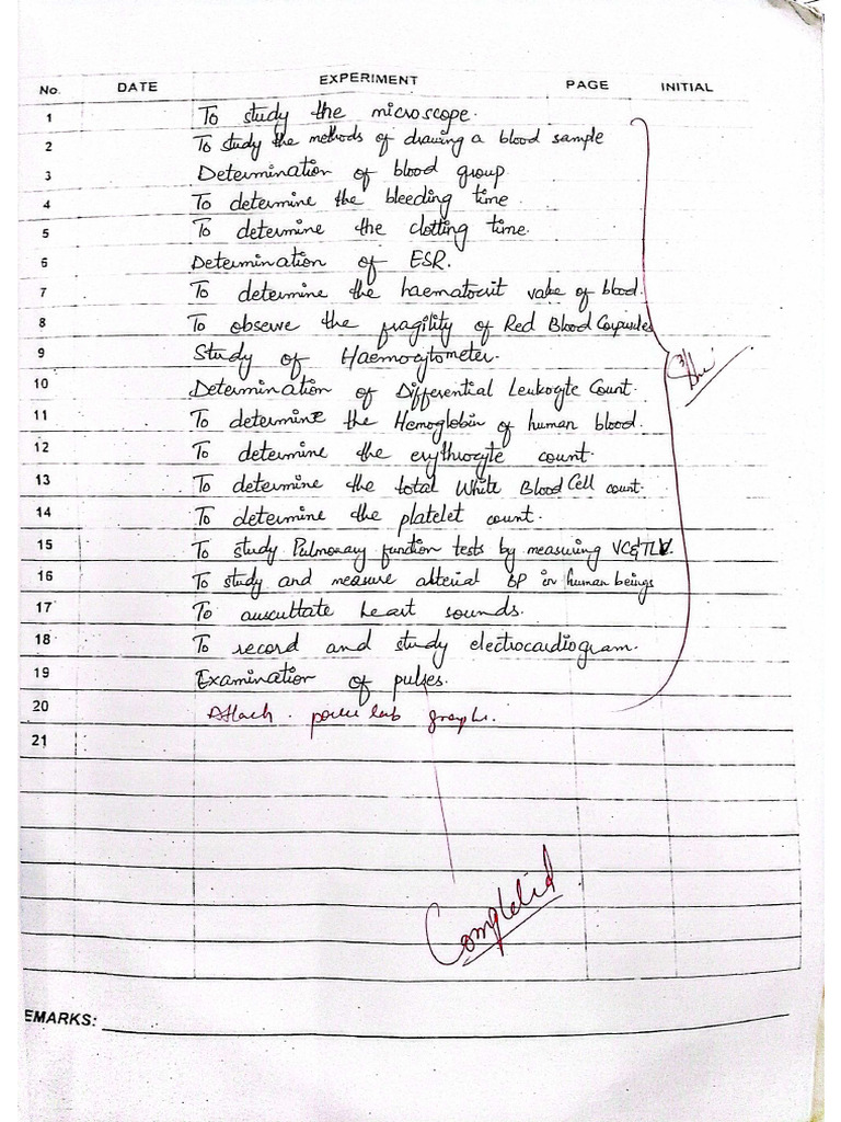 Sumaya's Physiology Journal Solved | PDF