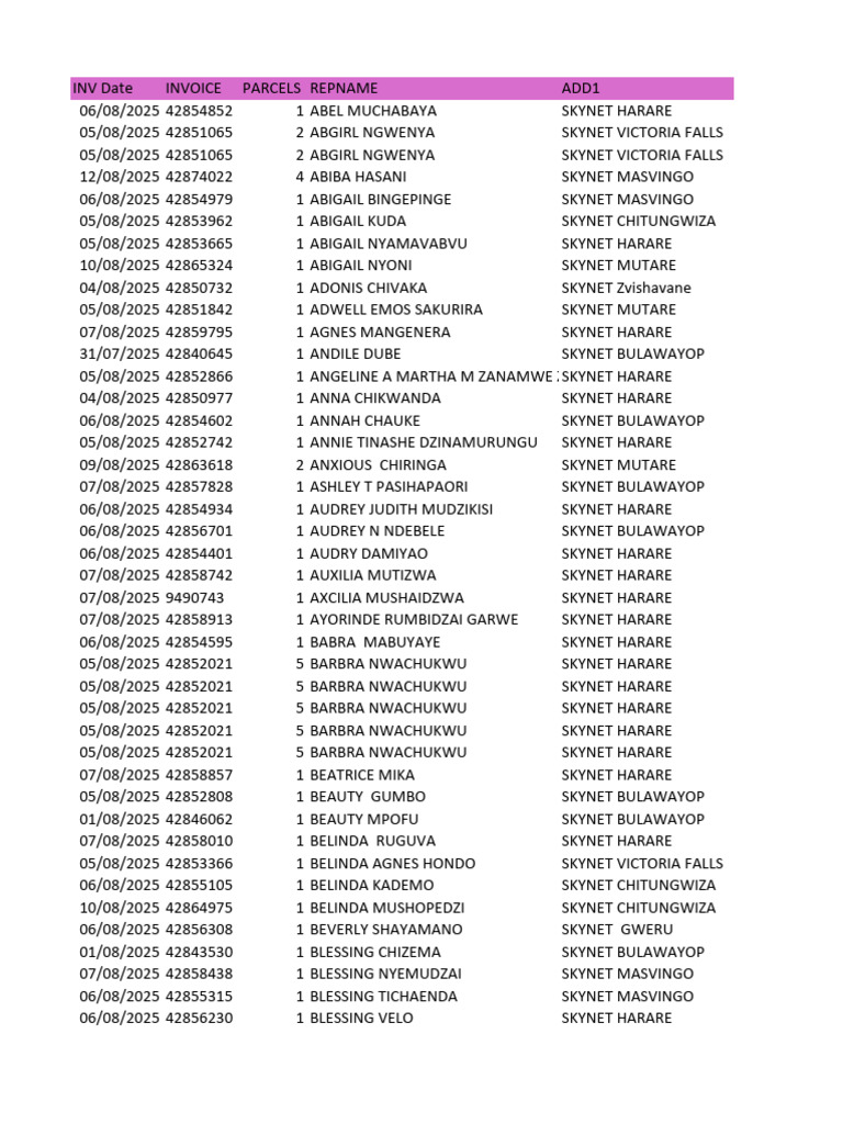 SkyNet Invoice Summary for 2025 | PDF