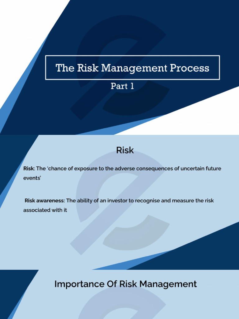 Risk Management Process Documents | PDF