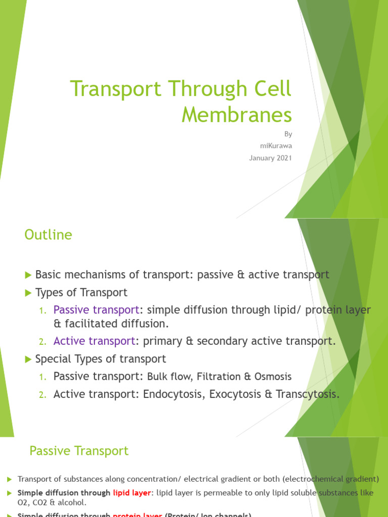 Transport Through Cell Membranes | PDF | Osmosis | Cell Membrane