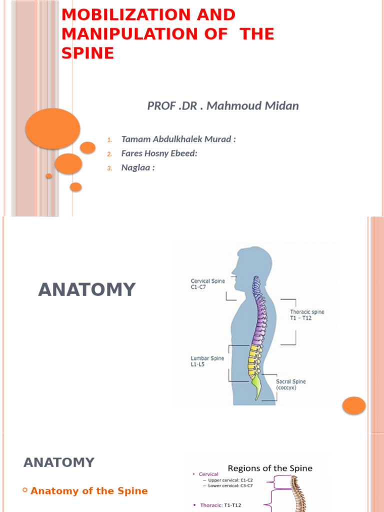 Spinal Mobilizaition and Manipulation | PDF | Vertebra ...