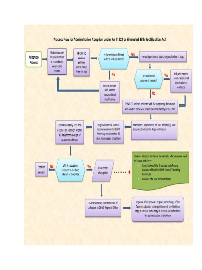 Adoption Requirements | PDF