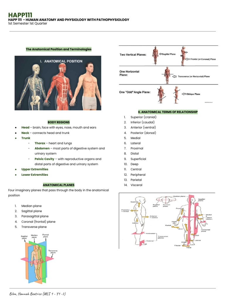 Happ 111 | PDF | Anatomical Terms Of Location | Human Body