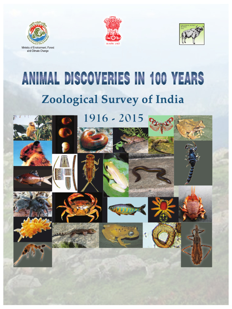 Animal Discoveries in 100 Years | PDF | Biodiversity | Species