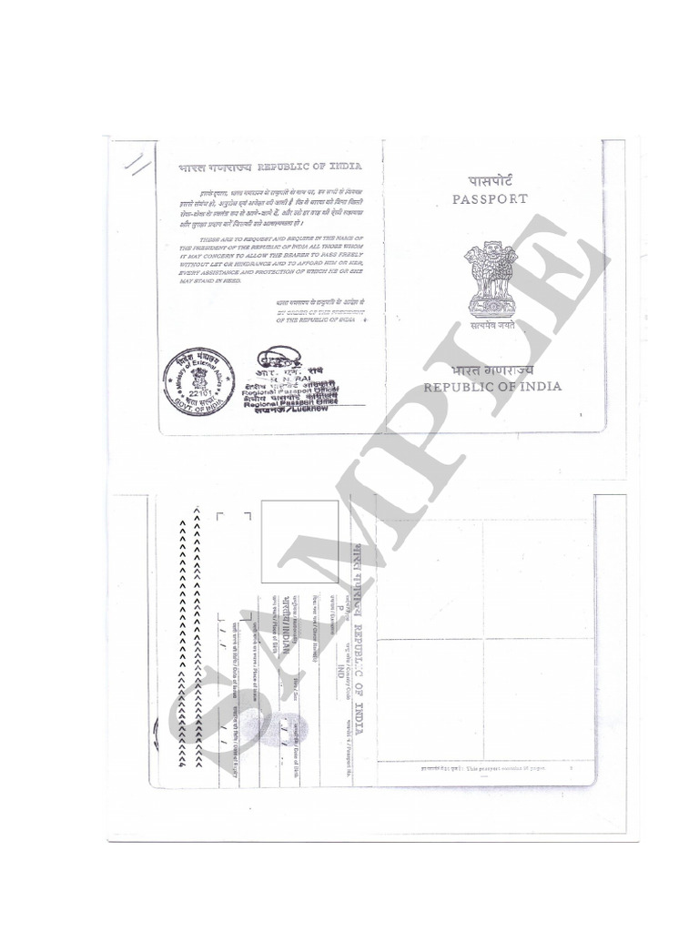 Passport Sample | PDF