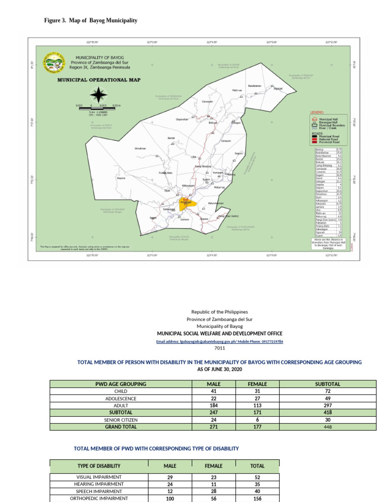 Bayog Municipality PWD Statistics 2020 | PDF