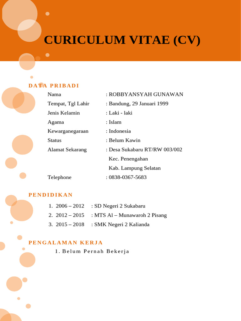 Data Pribadi dan CV Robbyansyah Gunawan | PDF