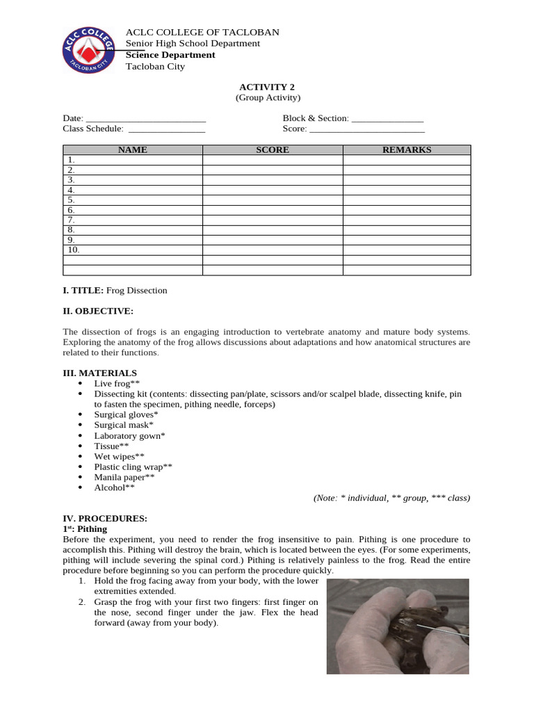 Activity 2 Toad Dissection | PDF | Frog | Anatomy