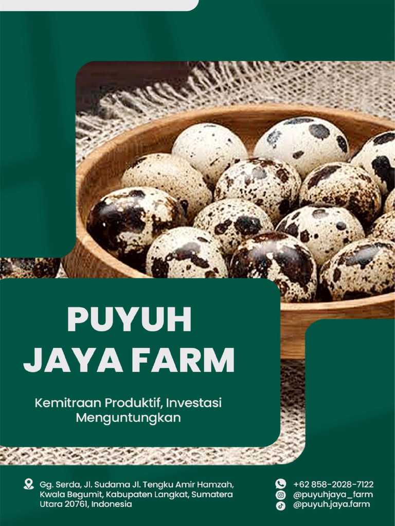 Project 149 - Compro Puyuh Jaya Farm (12.7. 2025) Revisi | PDF