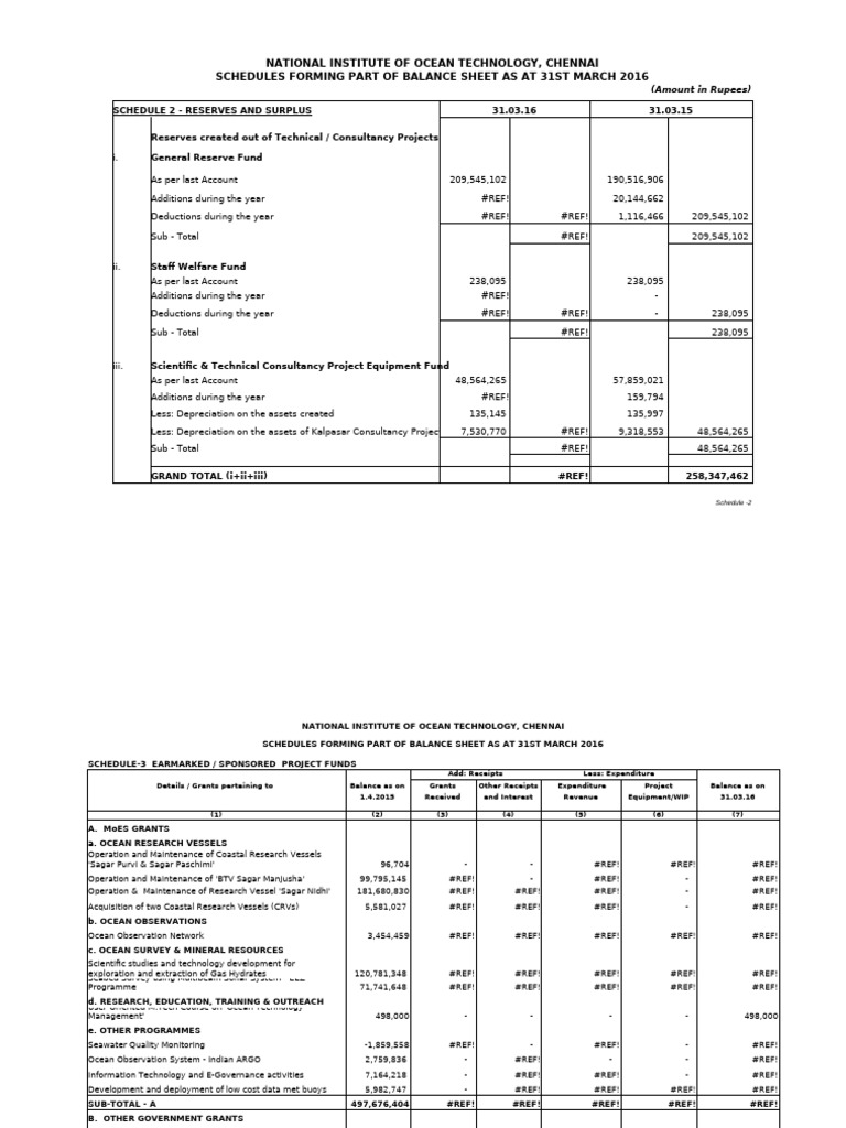 Balance Sheet 2024 25 | PDF | Expense | Depreciation