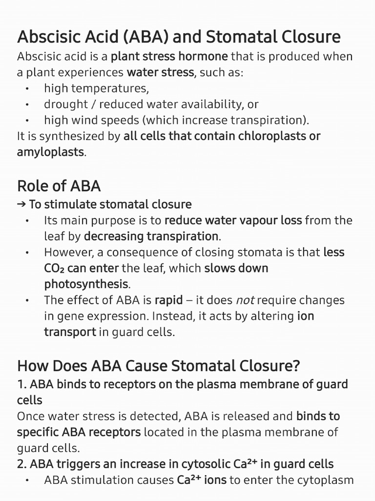 Abscisic Acid (ABA) and Stomatal Closure | PDF